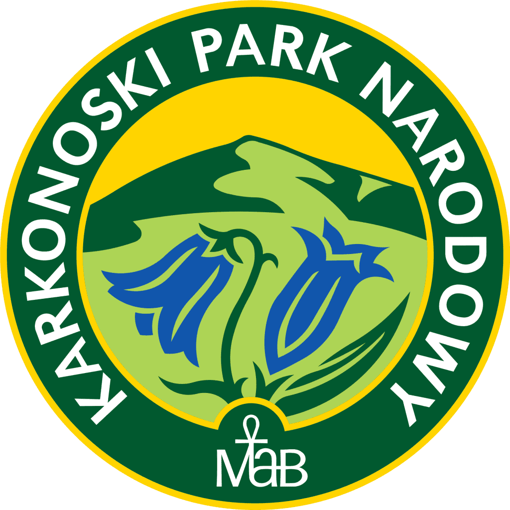 Wiktor Baron Fotografia - Fotograf Nowy Sącz i Kraków