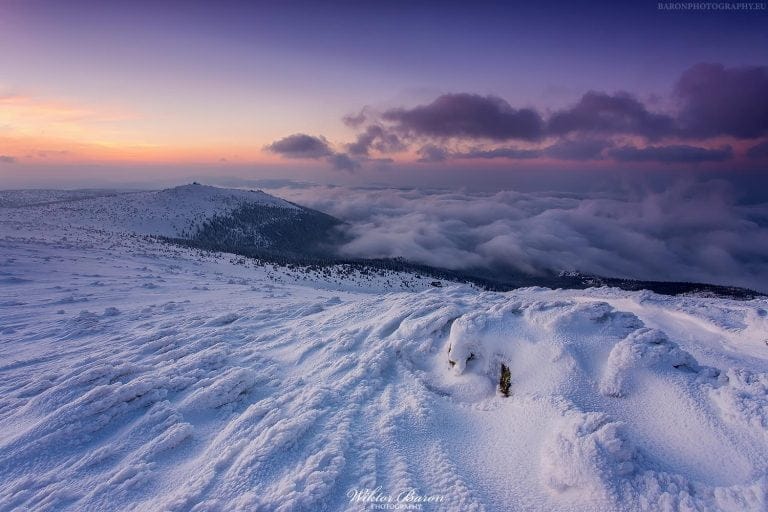 Wiktor Baron Fotografia