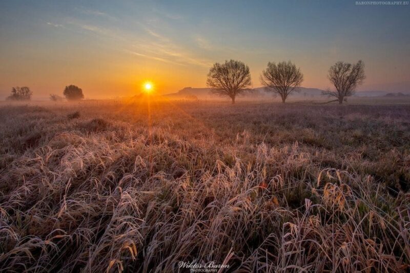 Fotograf Nowy Sącz - Wiktor Baron Fotografia