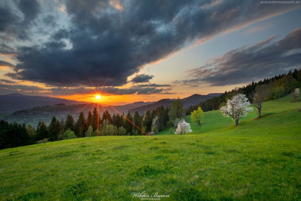 Kompozycja w Fotografii - Wiktor Baron Fotografia