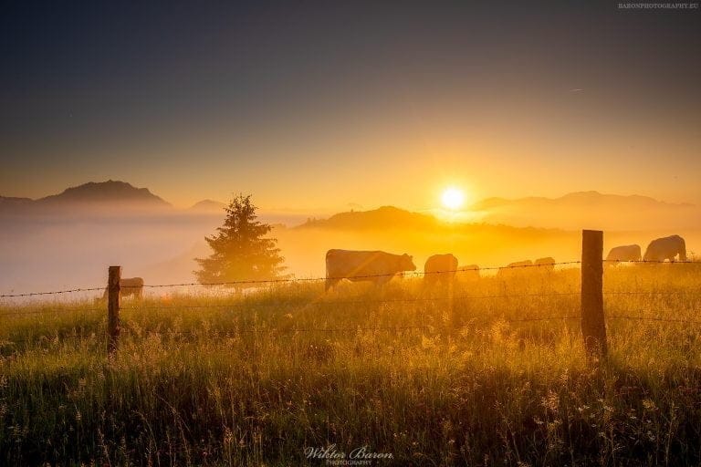Kompozycja w Fotografii - Wiktor Baron Fotografia