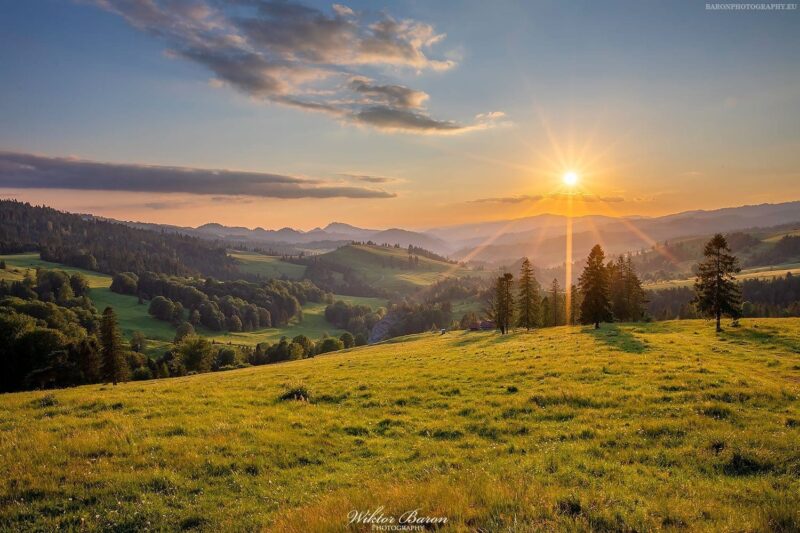 Wiktor Baron Fotografia - Fotograf Nowy Sącz