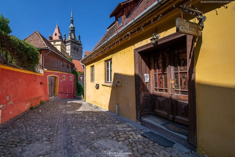 Wiktor Baron Fotografia - Fotograf Nowy Sącz